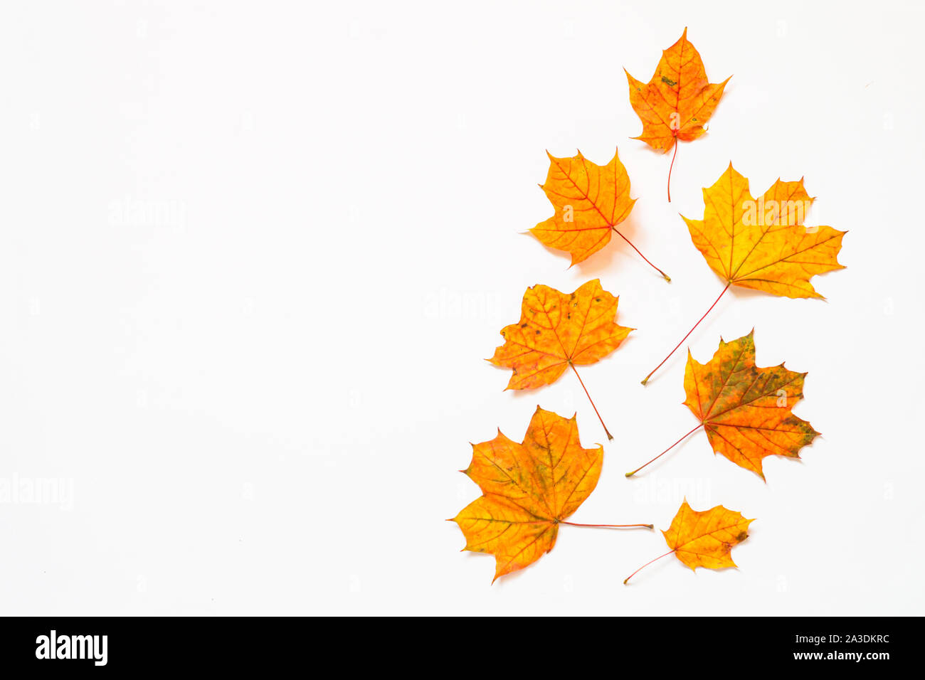 Autumn flat lay frame Cut Out Stock Images & Pictures - Alamy