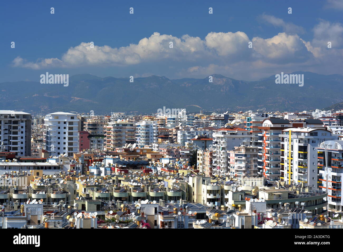 D400 turkey hi-res stock photography and images - Alamy