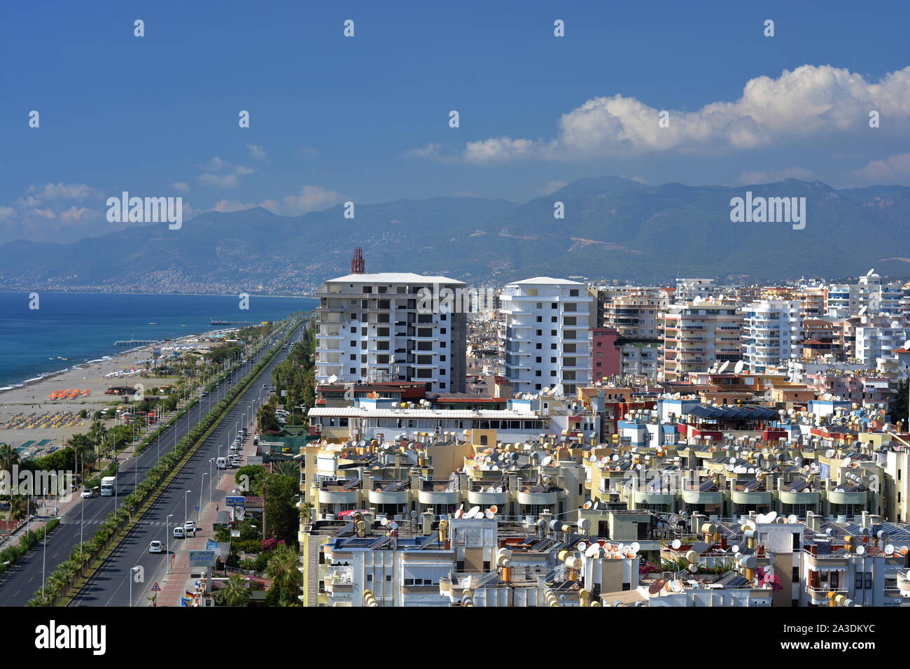 D400 turkey hi-res stock photography and images - Alamy