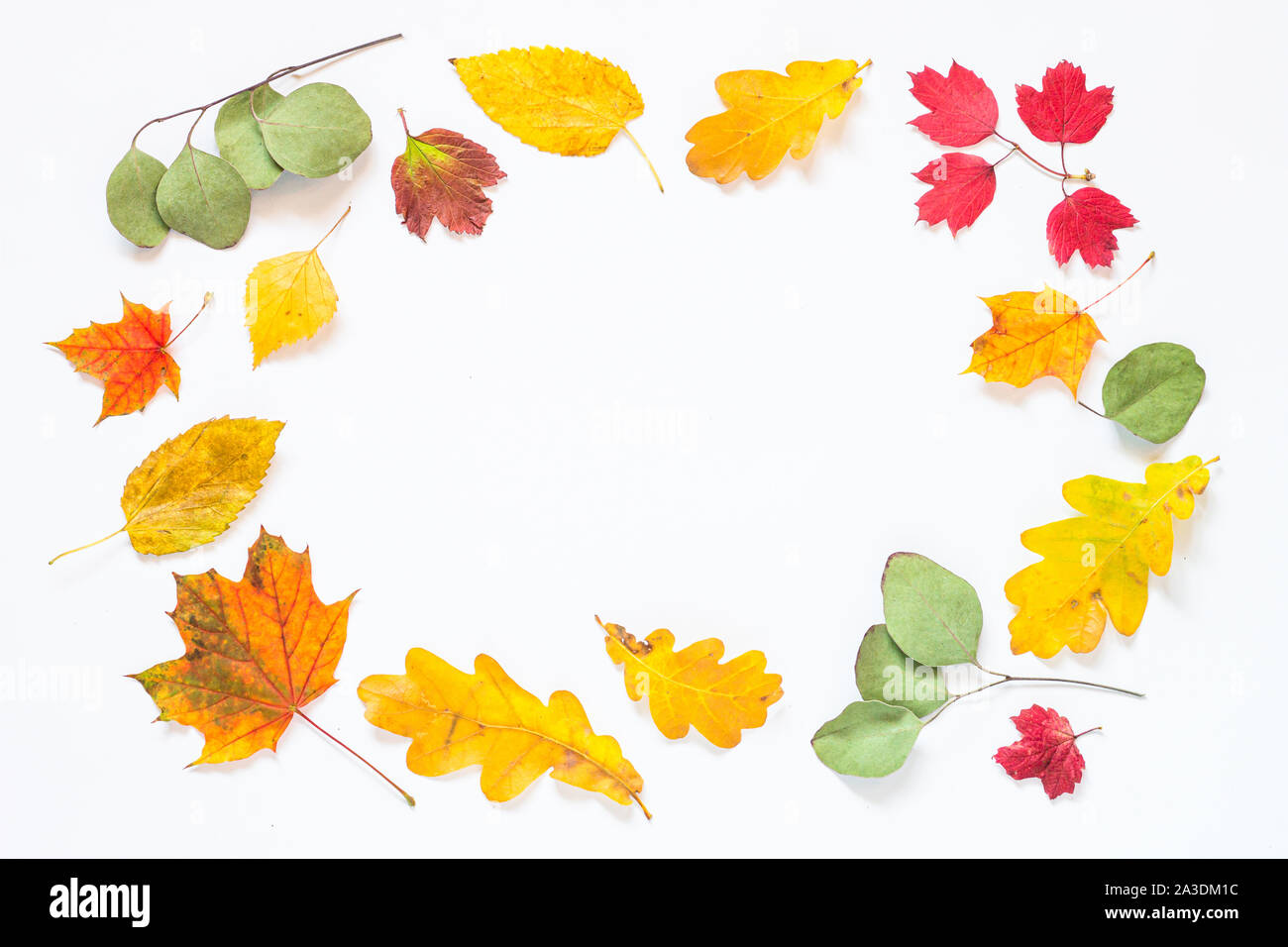 Concept autumn flat lay Cut Out Stock Images & Pictures - Alamy