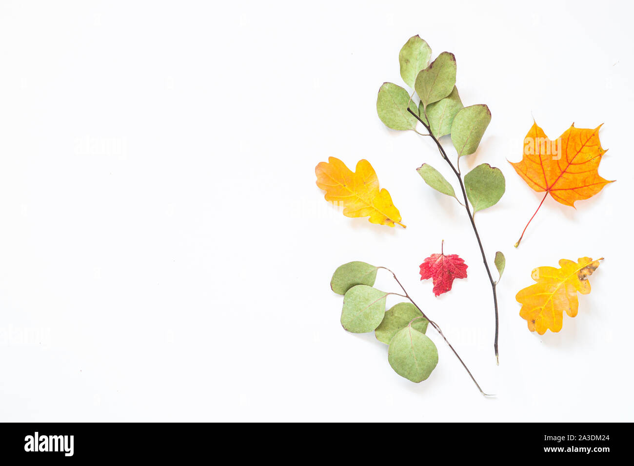 Flat lay leaves red Cut Out Stock Images & Pictures - Alamy