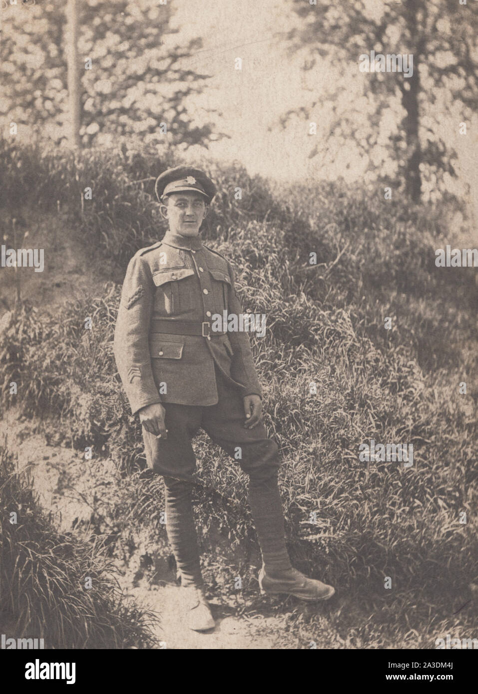 Army service postcards hi-res stock photography and images - Alamy