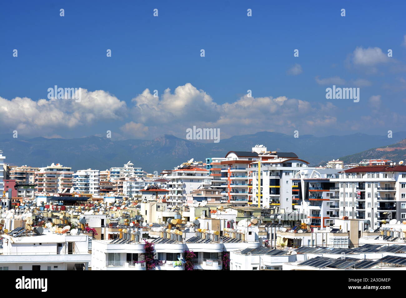 D400 turkey hi-res stock photography and images - Alamy