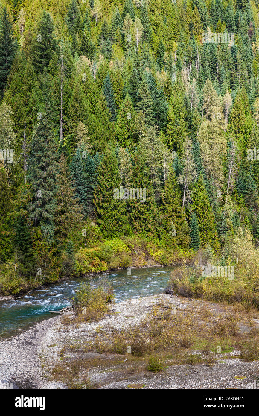 Clear mountain stream and wilderness forest seen from the Rocky ...