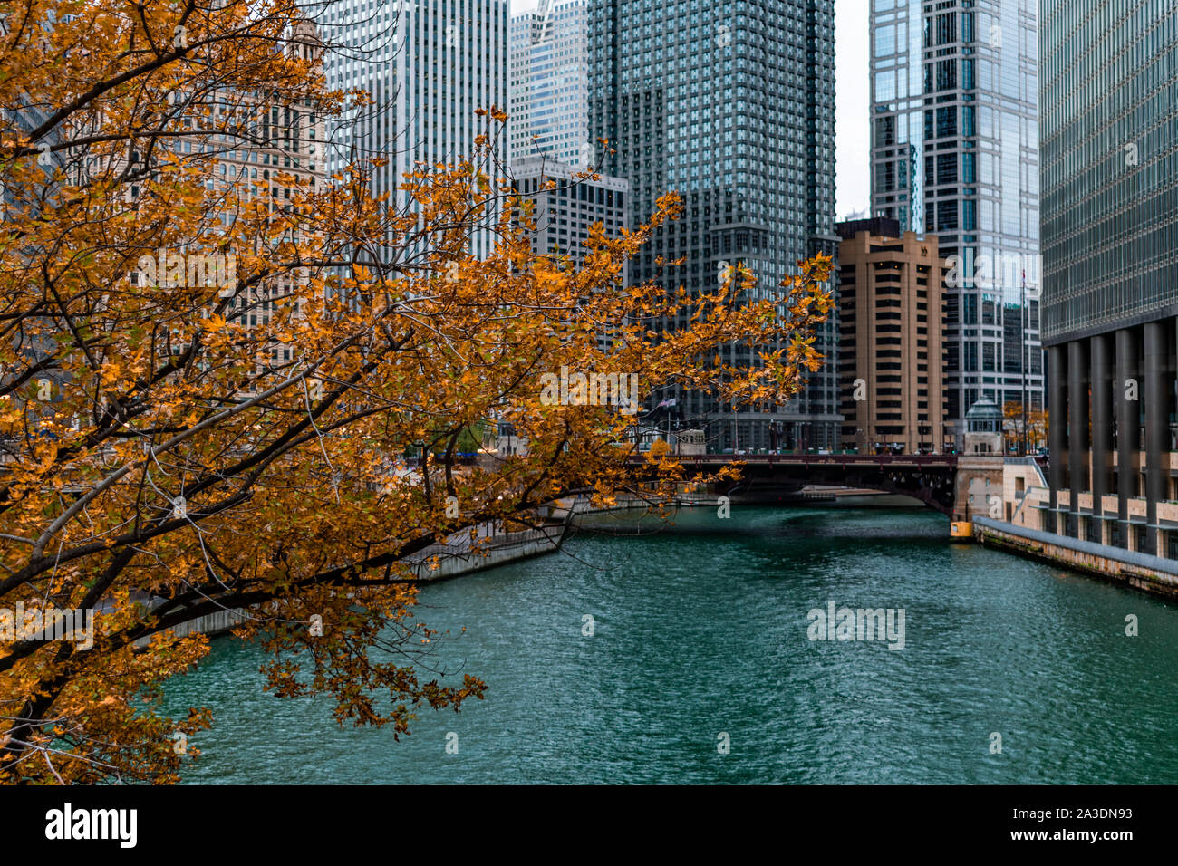 Chicago river skyscrapers hi-res stock photography and images - Alamy