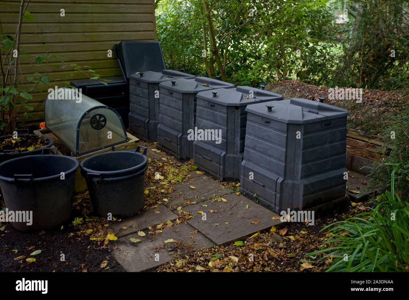 Compost bins behind shed in garden Stock Photo - Alamy