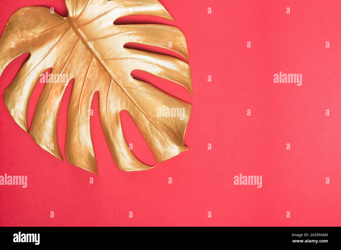 Gold monstera leaf on red background Stock Photo - Alamy