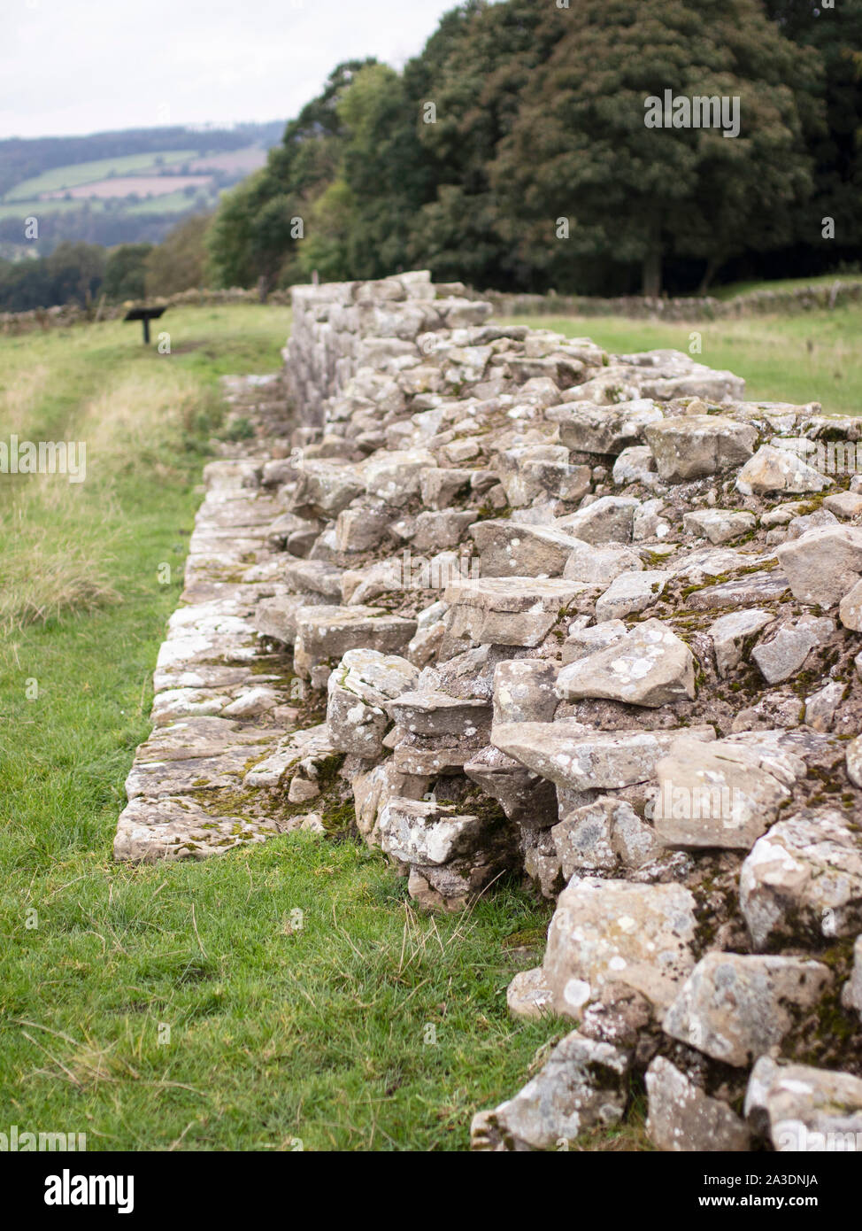 section of Roman Hadrian's Wall near Planetrees Hexham Northumberland ...