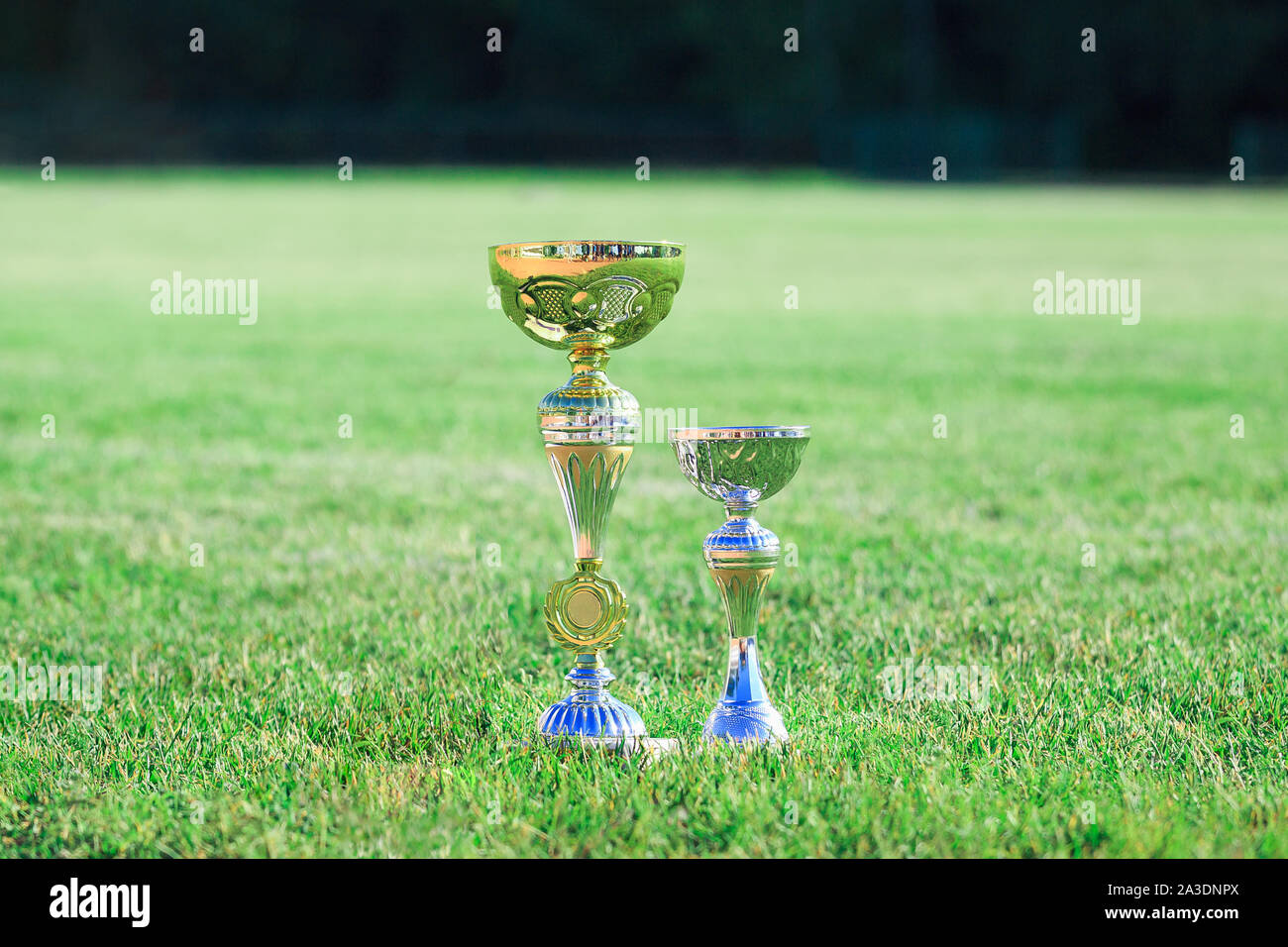 Rugby league world cup trophies hi-res stock photography and images - Alamy