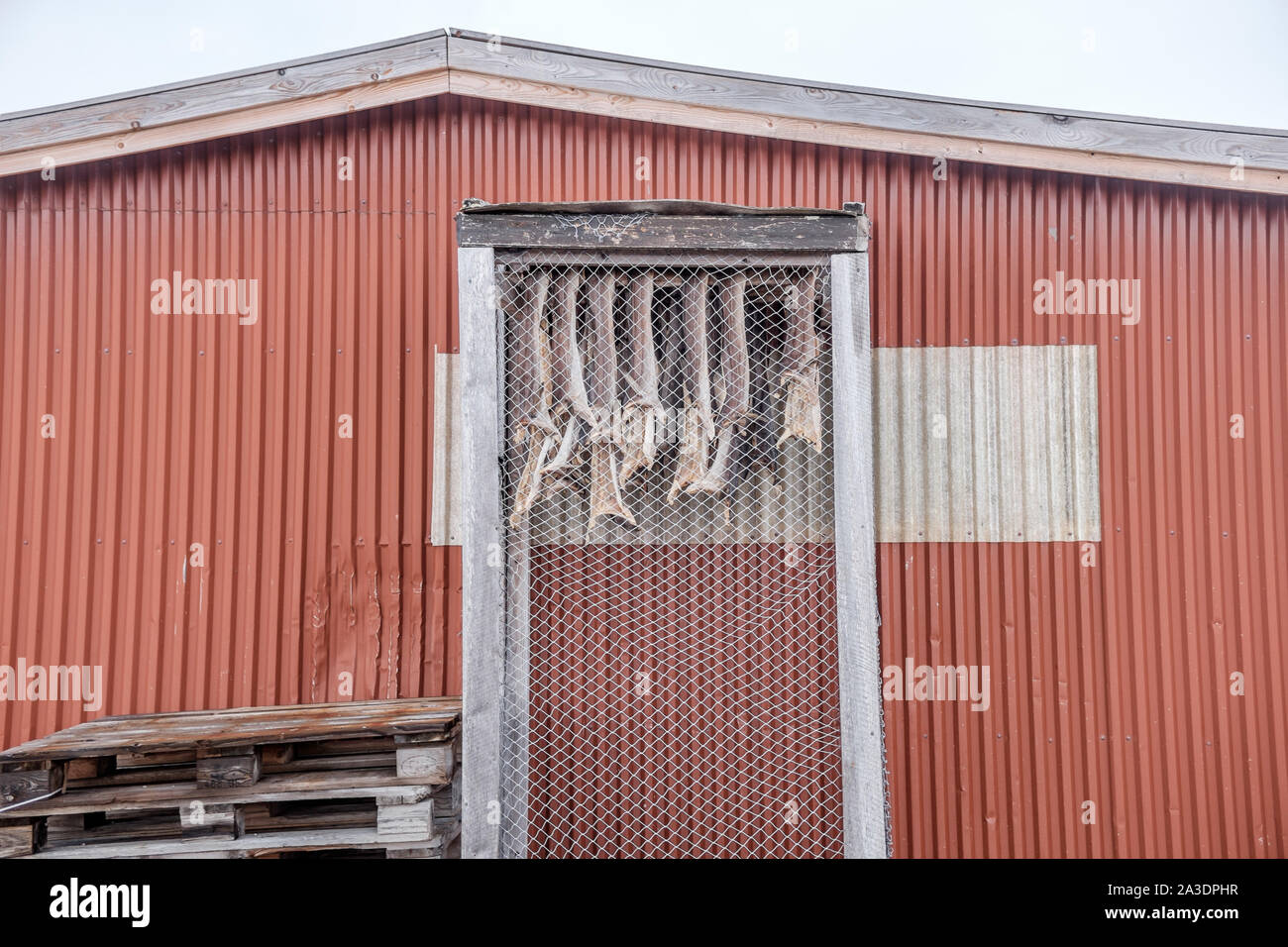 Dried salt cod norway hi-res stock photography and images - Alamy