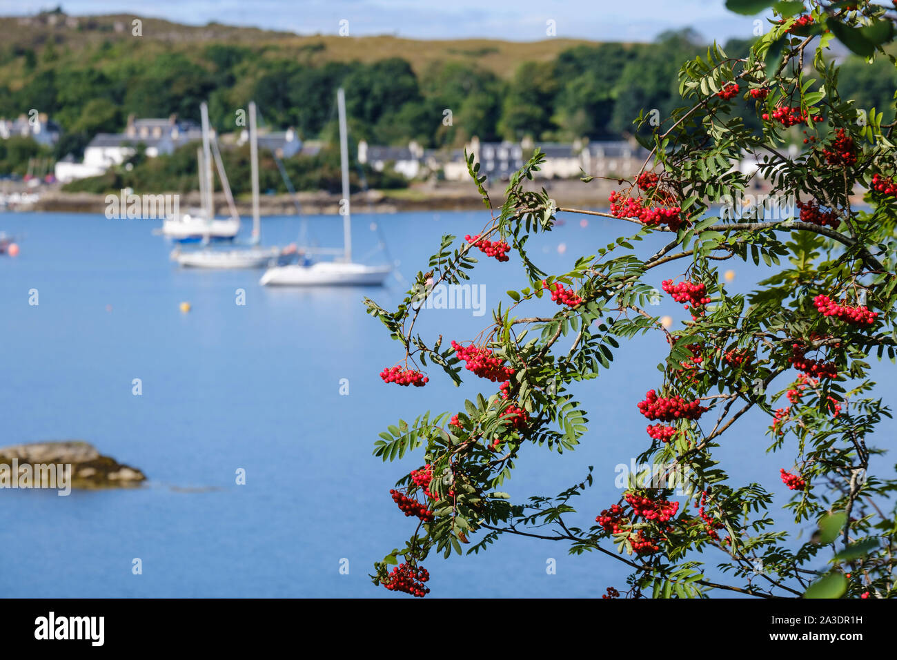 Looking across Loch Carron to Plockton village from the railway bridge ...