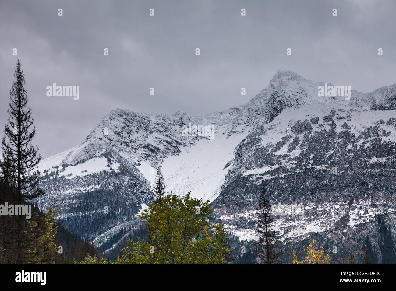 Selkirk mountains hi-res stock photography and images - Alamy