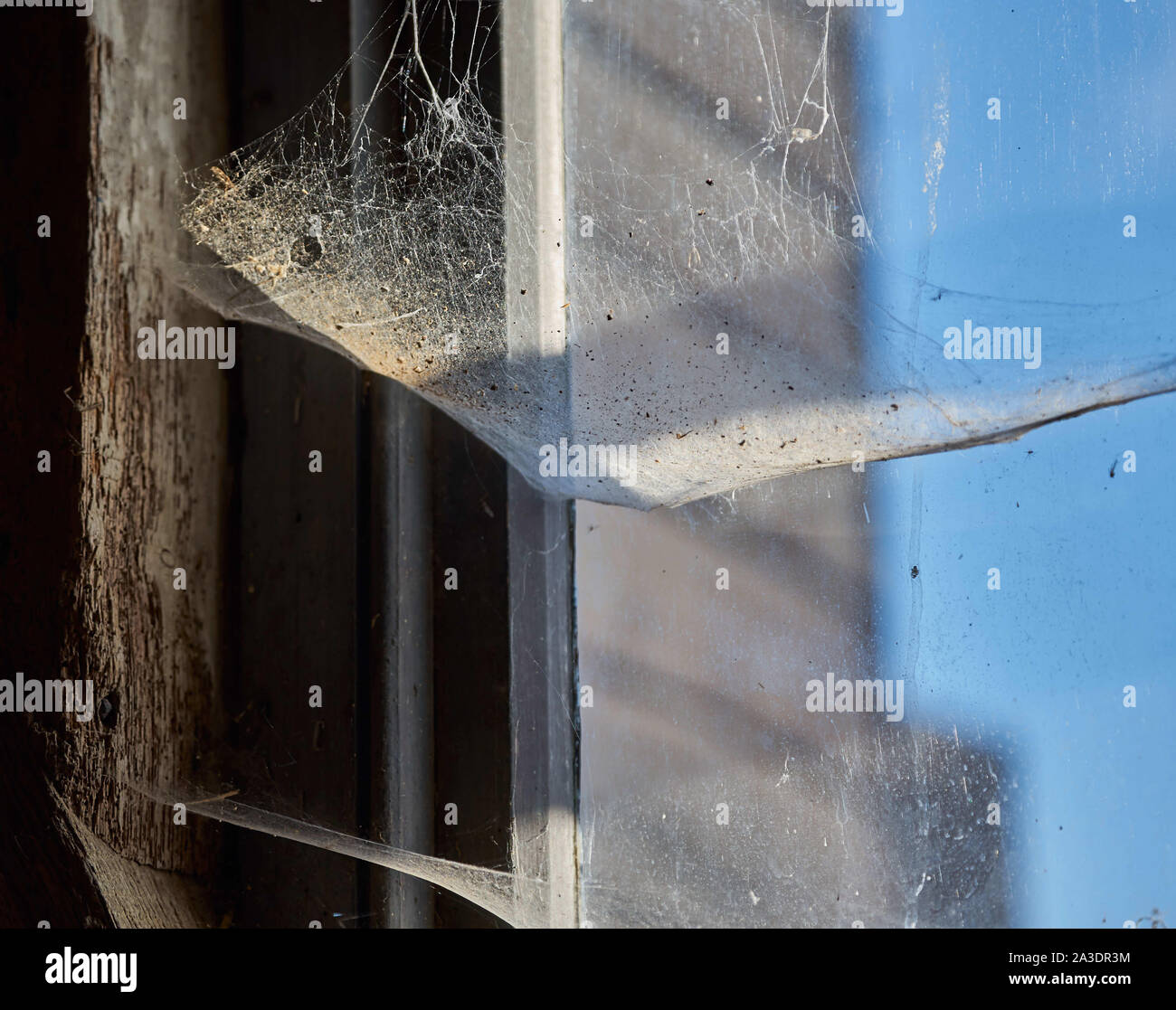 Hanging cobweb illuminated by the sun on the window of old house, and ...