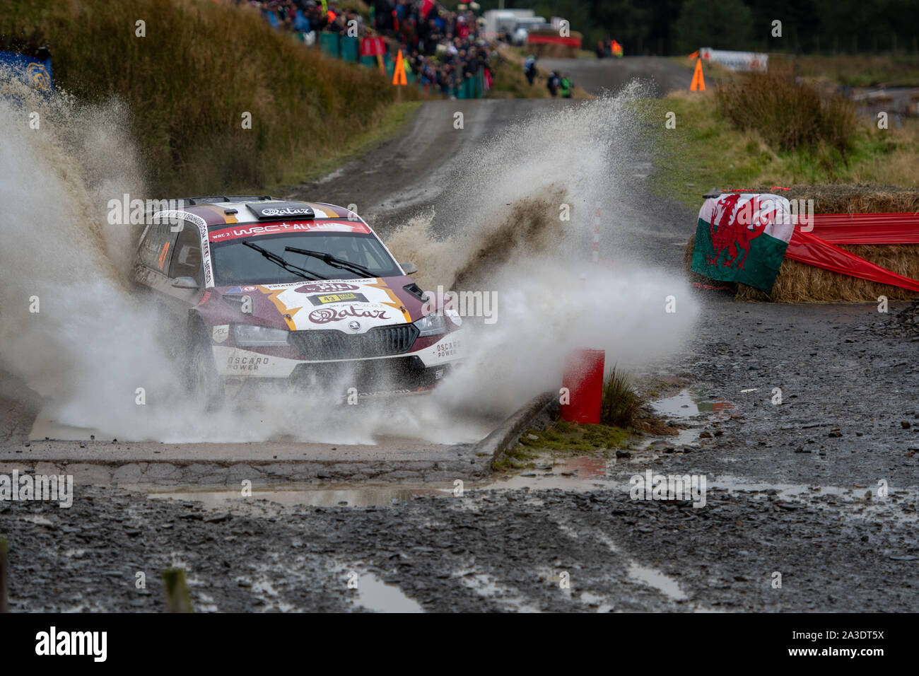 5th October 2019, Wales ; SS13 Sweet Lamb Hafren, Wales Rally GB 2019 ...
