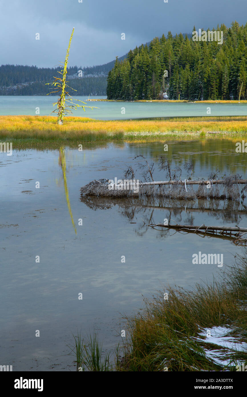 Paulina Lake, Newberry National Volcanic Monument, Oregon Stock Photo ...