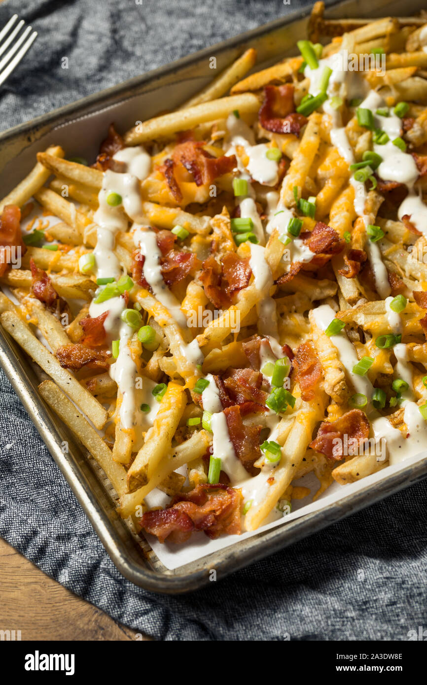 Homemade Bacon Cheddar Ranch Fries with Chives Stock Photo - Alamy