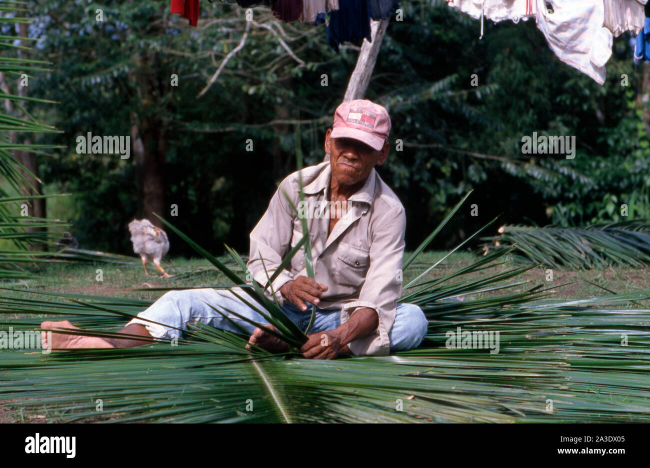 Cocoma cocamilla hi-res stock photography and images - Alamy