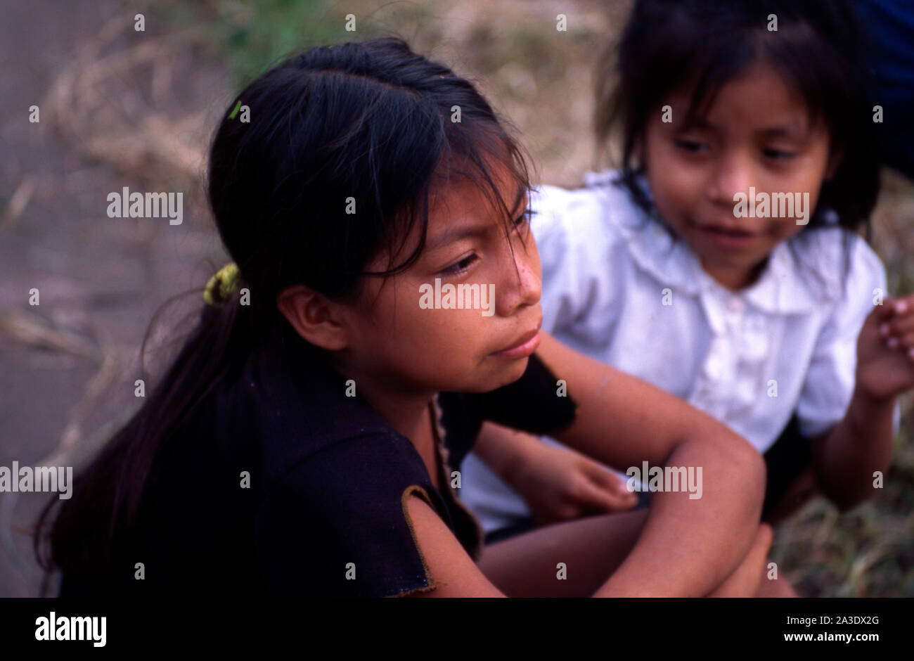 Tupi guarani language branch hi-res stock photography and images - Alamy