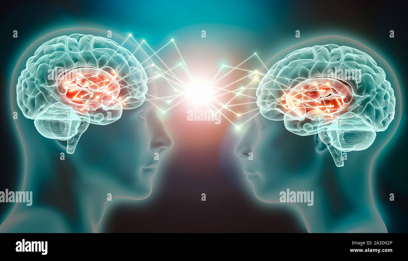 Love emotion or empathy cerebral or brain activity in caudate nucleus ...