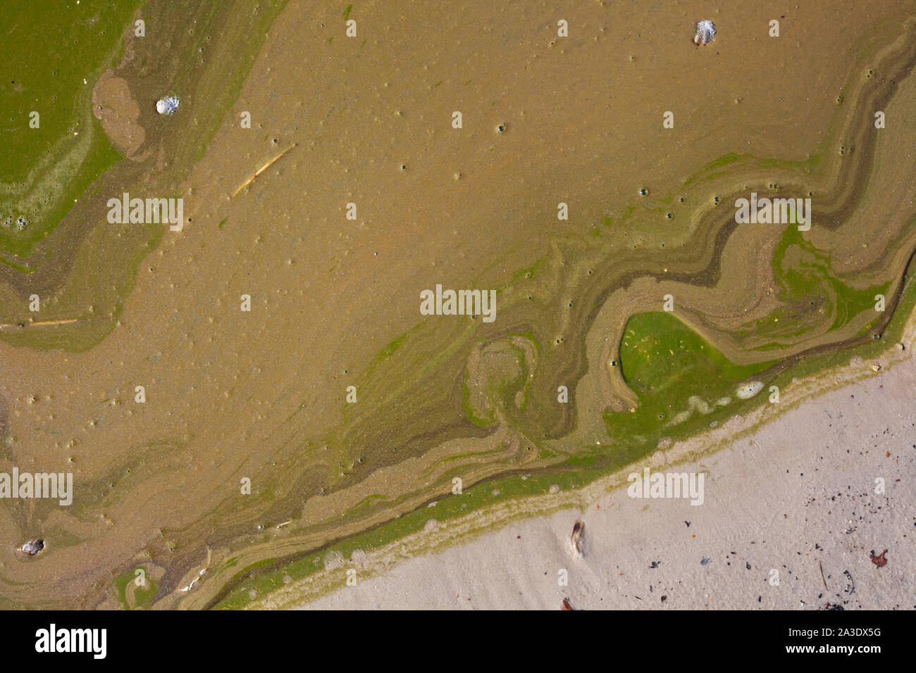 pollution on water surface Stock Photo - Alamy