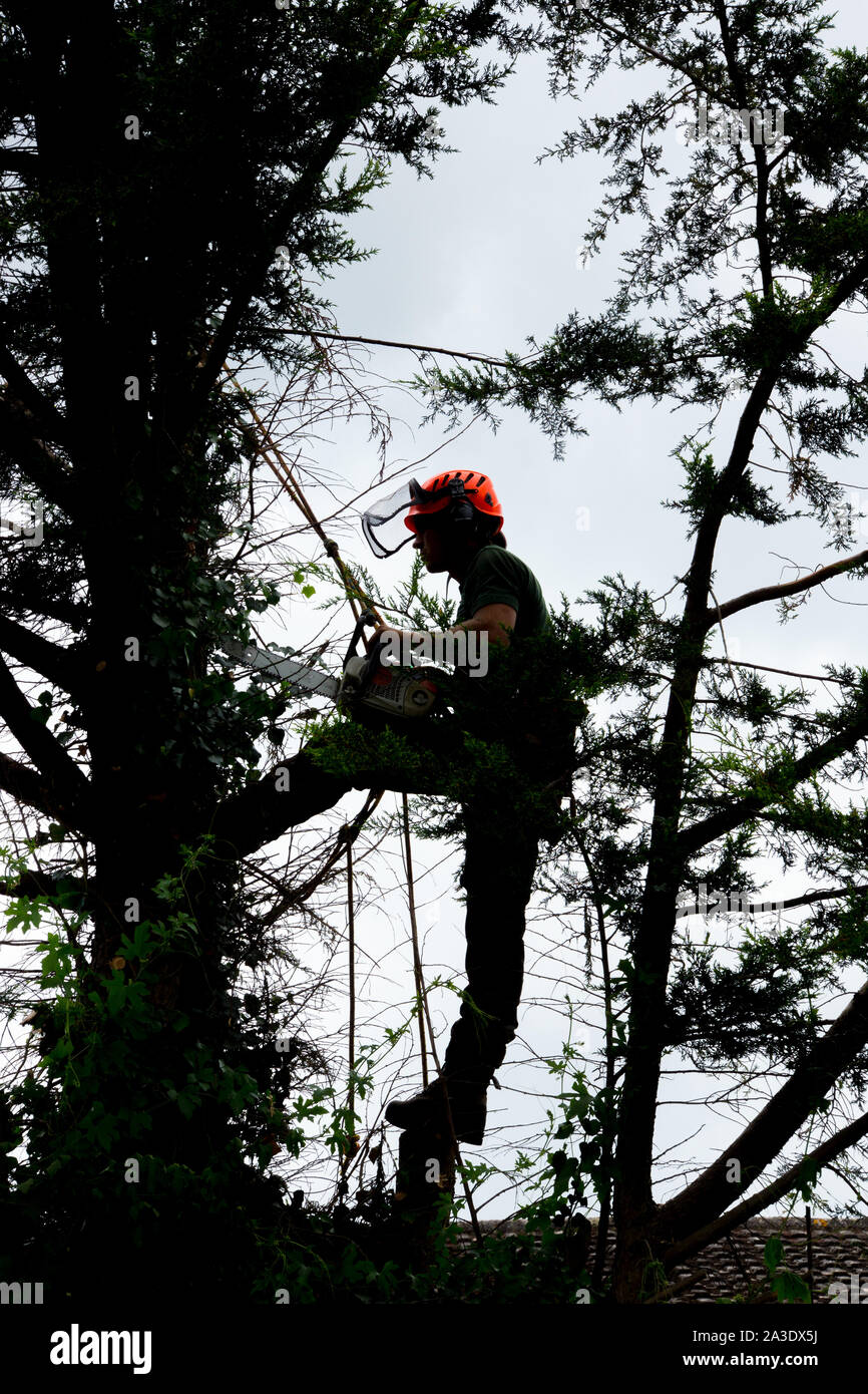 Tree surgeon silhouette hi-res stock photography and images - Alamy