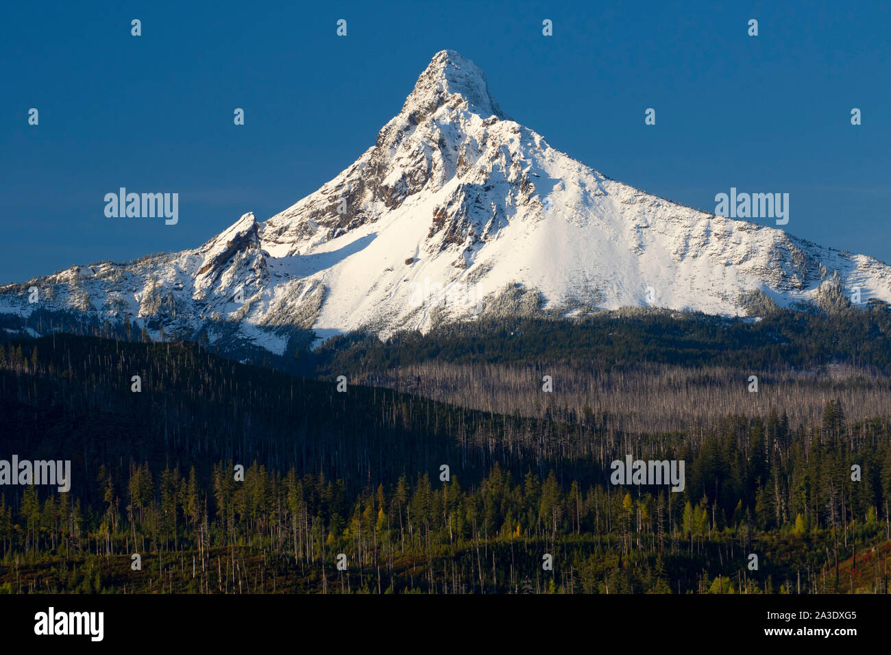 Mt Washington, Deschutes National Forest, Santiam Pass-McKenzie Pass ...