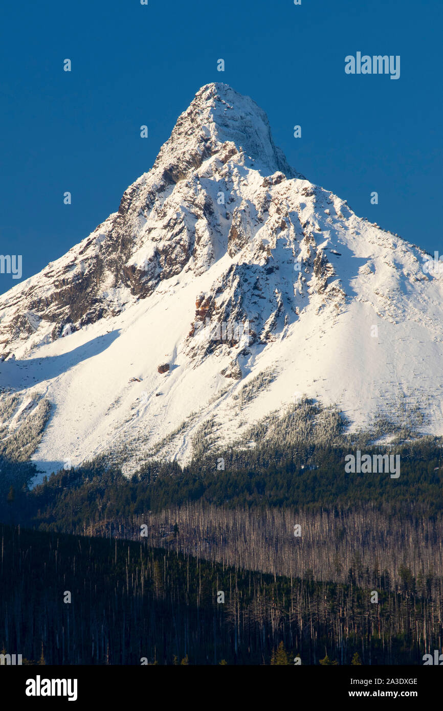 Mt Washington, Deschutes National Forest, Santiam Pass-McKenzie Pass ...