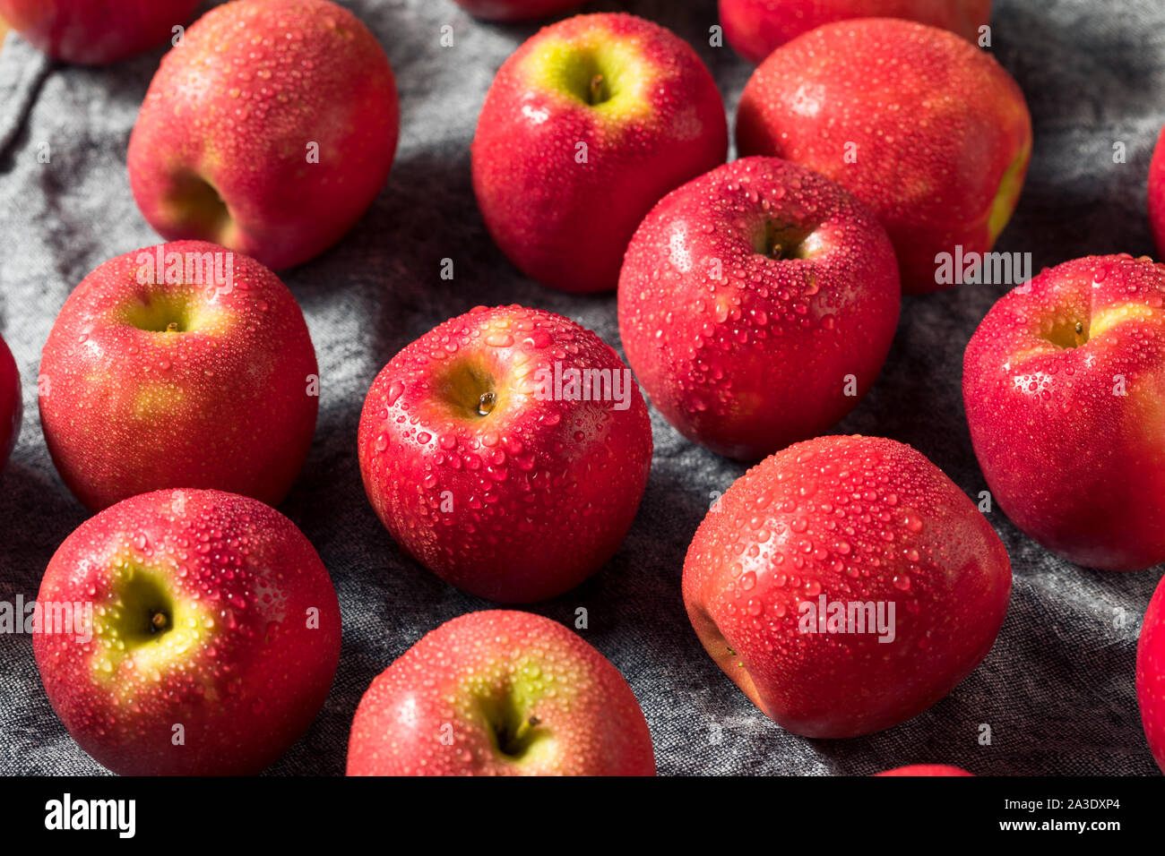 Raw Red Organic PInk Lady Apples Ready to Eat Stock Photo - Alamy