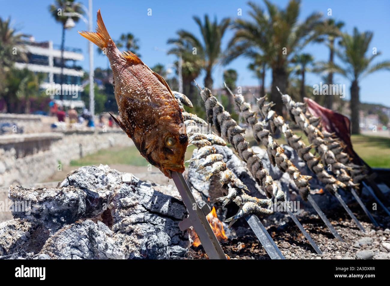 Malagueta Beach Bar, Fish Barbeque, Malaga, Andalucia, Andalusia, Spain ...