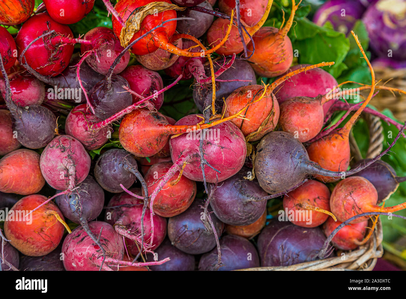 Fresh Red, Orange and Purple Radishes in a basket at a market Stock ...