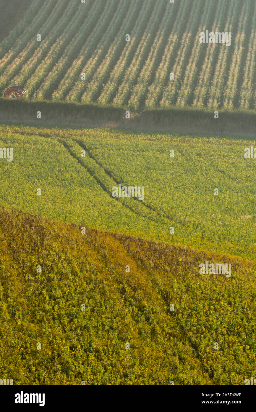Different types of field on agricultural land making patterns in the ...