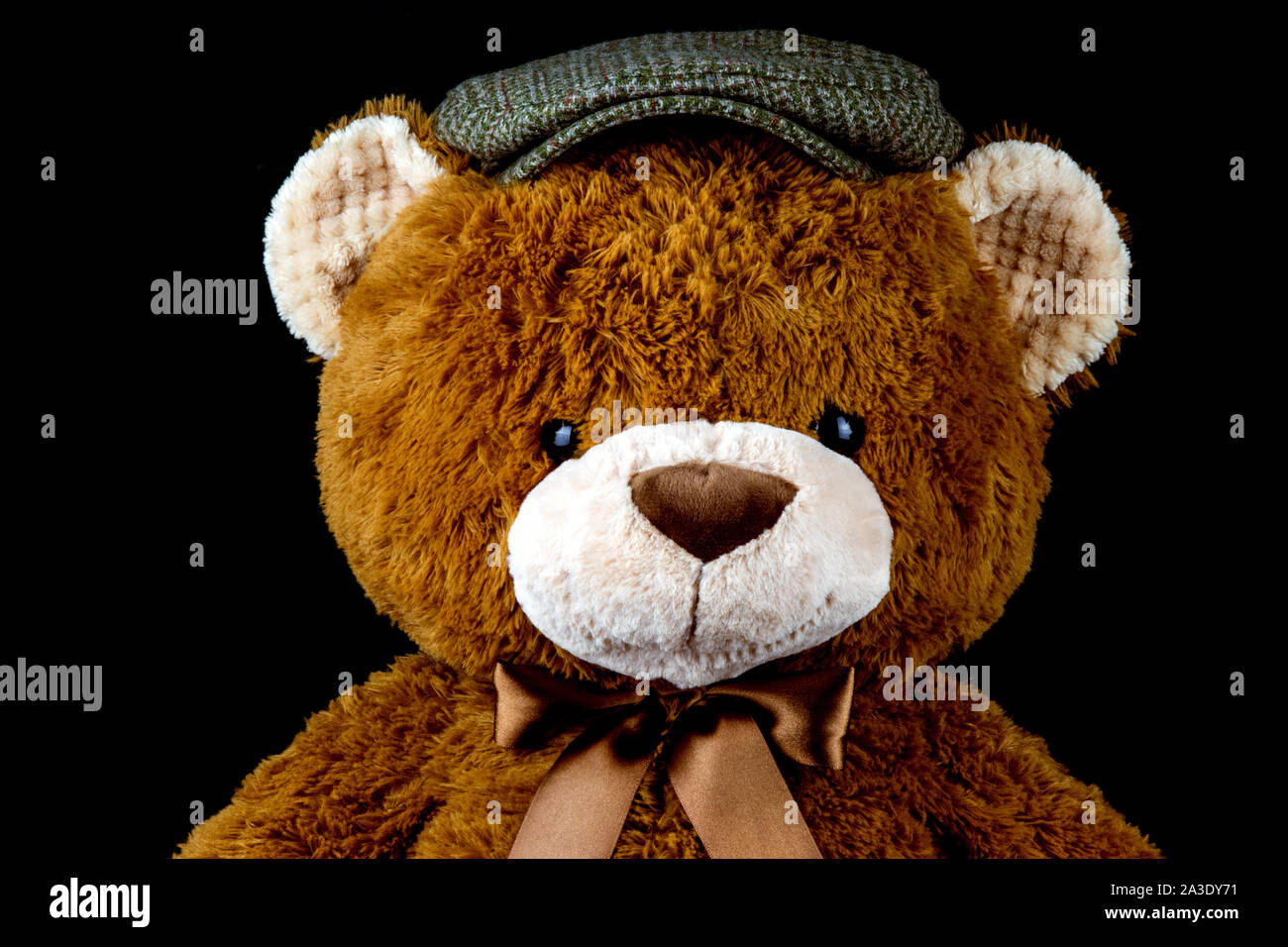 Teddy bear wearing cap hi-res stock photography and images - Alamy