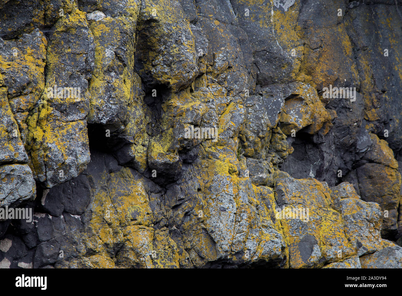 Rock face at a coastal beach in Ayrshire Scotland Stock Photo - Alamy