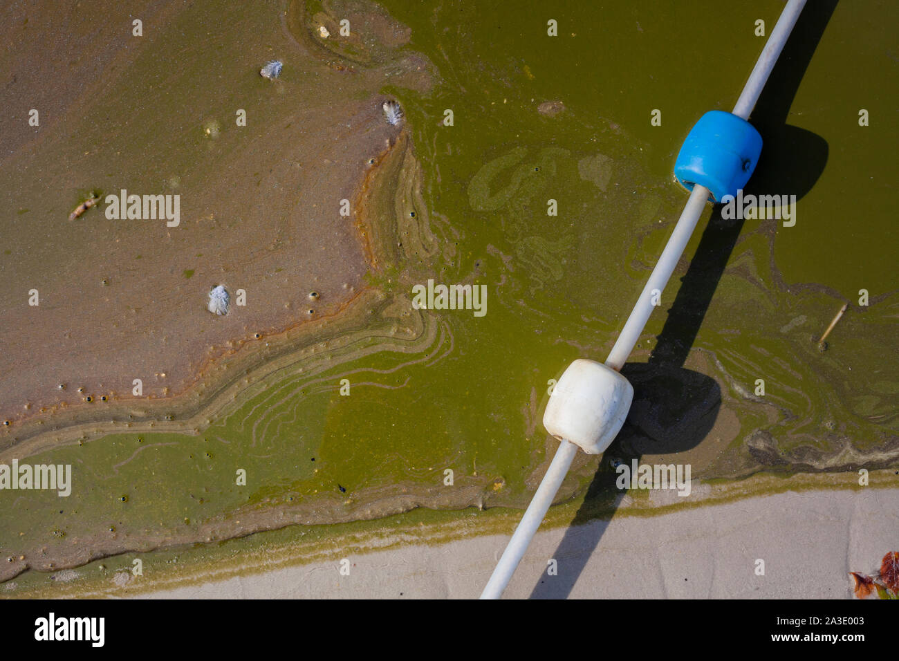 pollution on water surface Stock Photo - Alamy