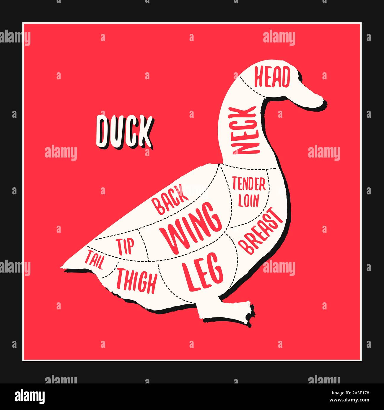 Duck meat cutting charts vector illustration for butchers shop guide ...
