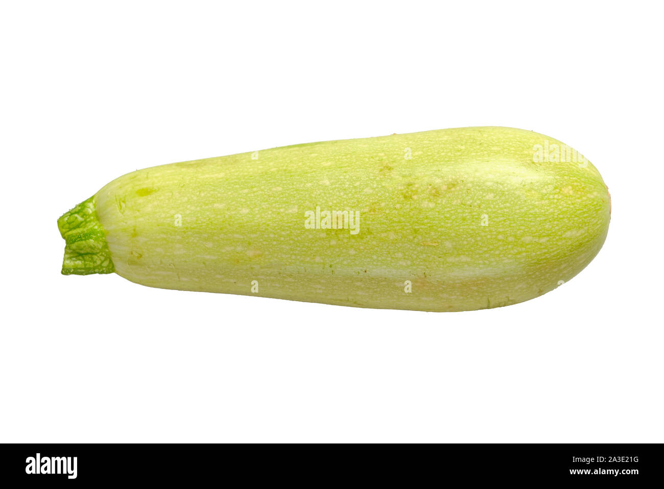 White zucchini isolated on white background ready to use in designs ...