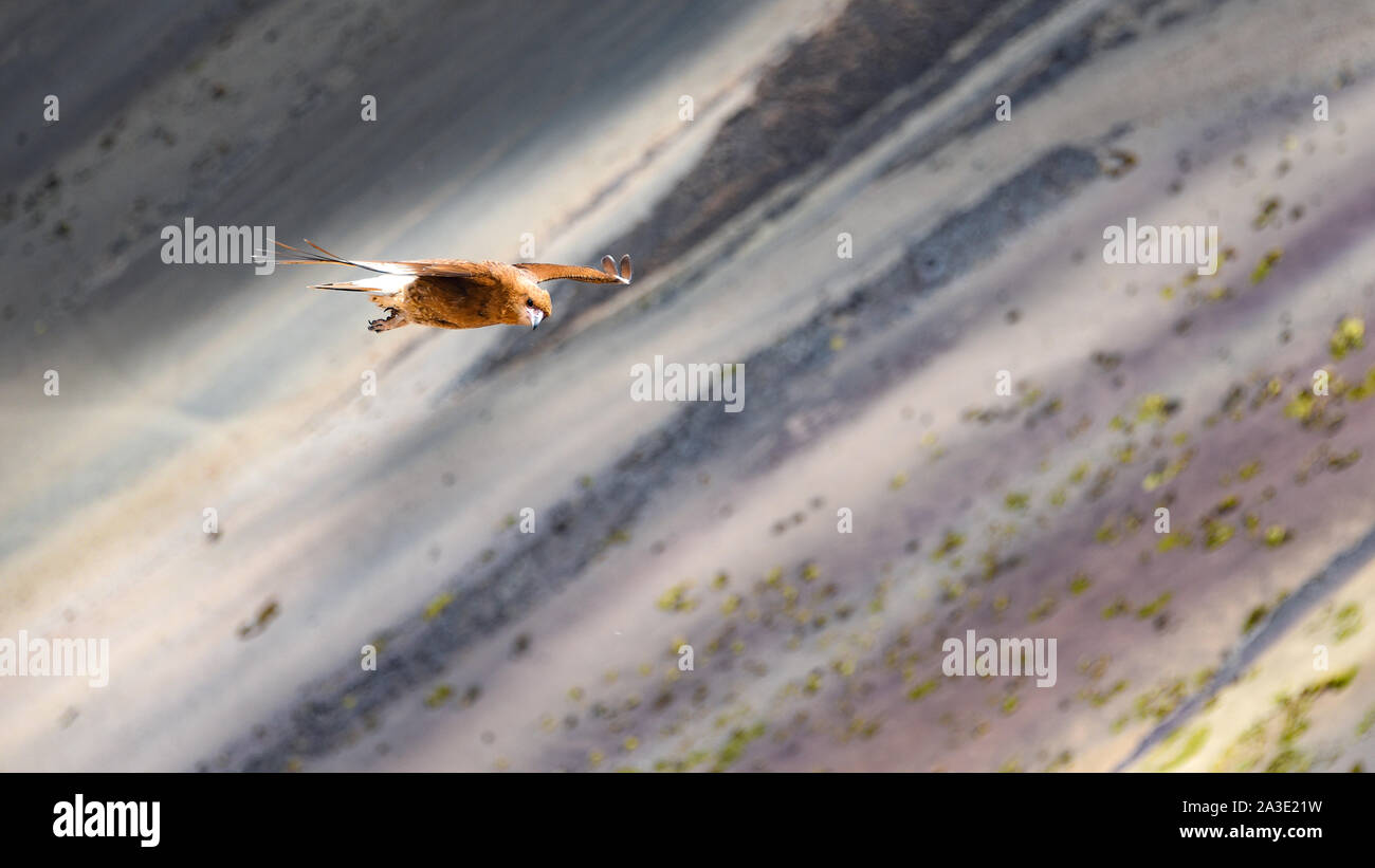 Cara quechua hi-res stock photography and images - Alamy