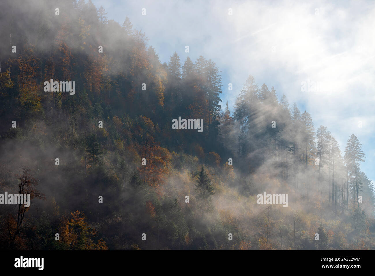 Sunshine breaking through the mist hi-res stock photography and images ...