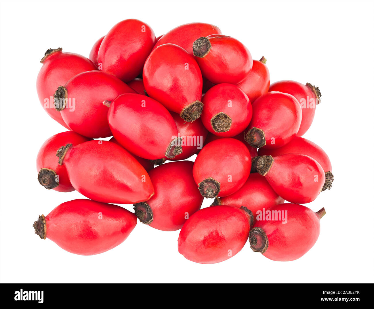 Pile of red rose hips isolated on white background. Fresh ripe rosehips ...