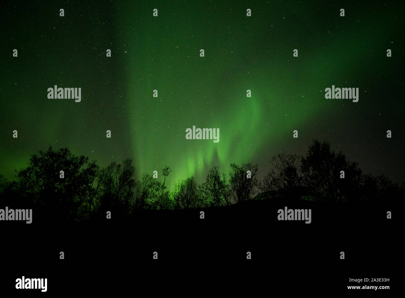 The Aurora Borealis, Northern Lights, near Tromso, Norway Stock Photo ...