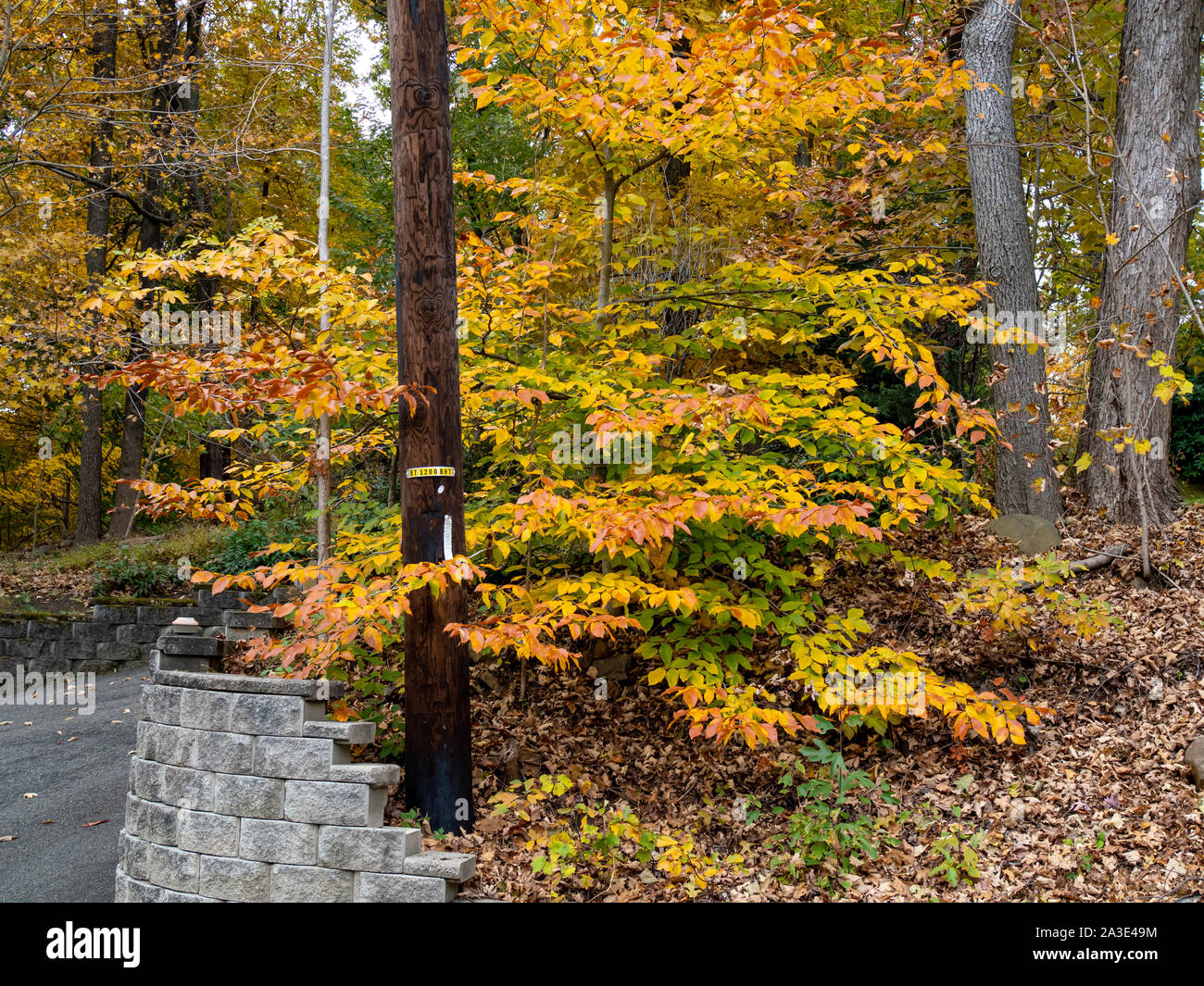 Full colored hi-res stock photography and images - Alamy