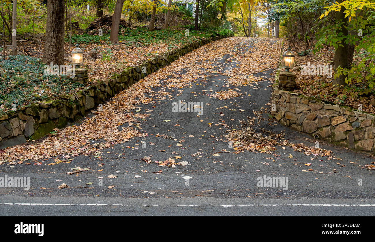 driveway in the forest with colorful trees in the fall Stock Photo - Alamy