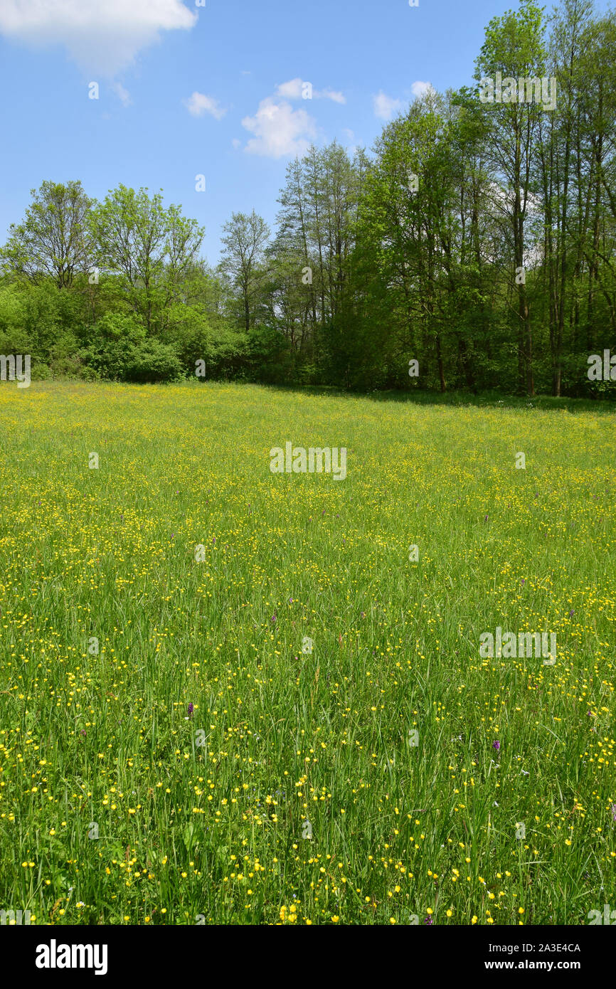Peat moss of szoce hi-res stock photography and images - Alamy