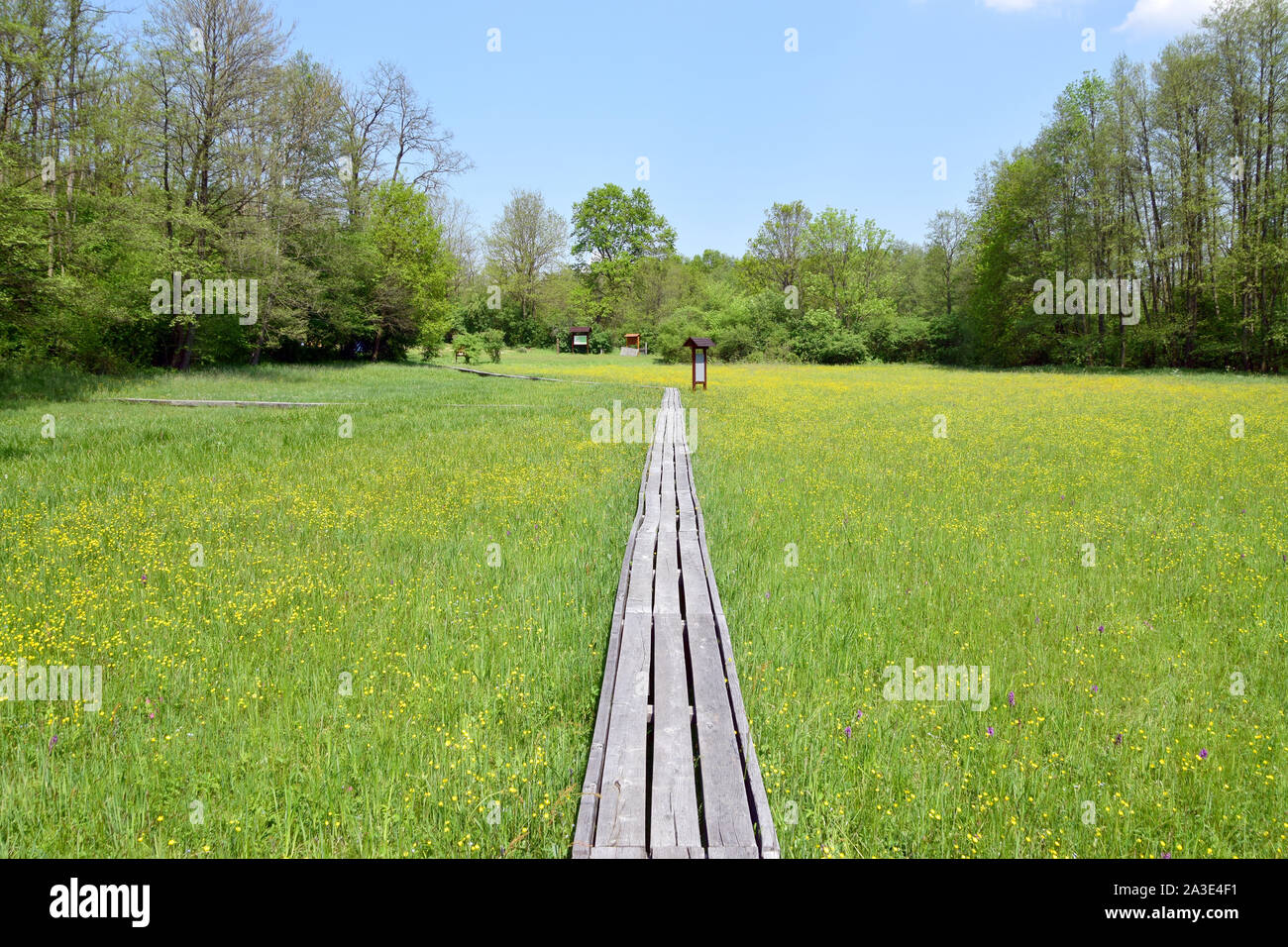 Peat moss of szoce hi-res stock photography and images - Alamy