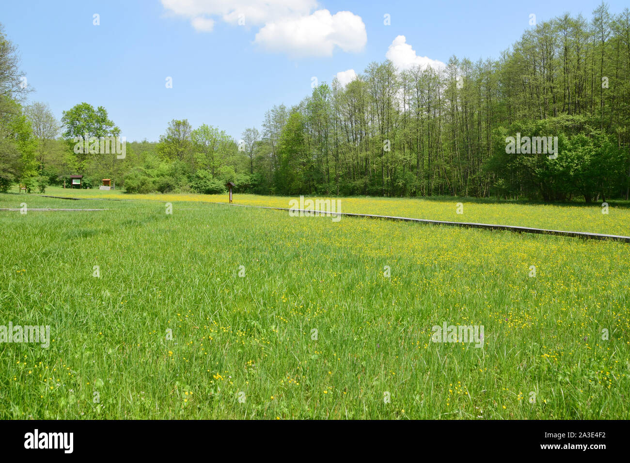 Peat moss of szoce hi-res stock photography and images - Alamy
