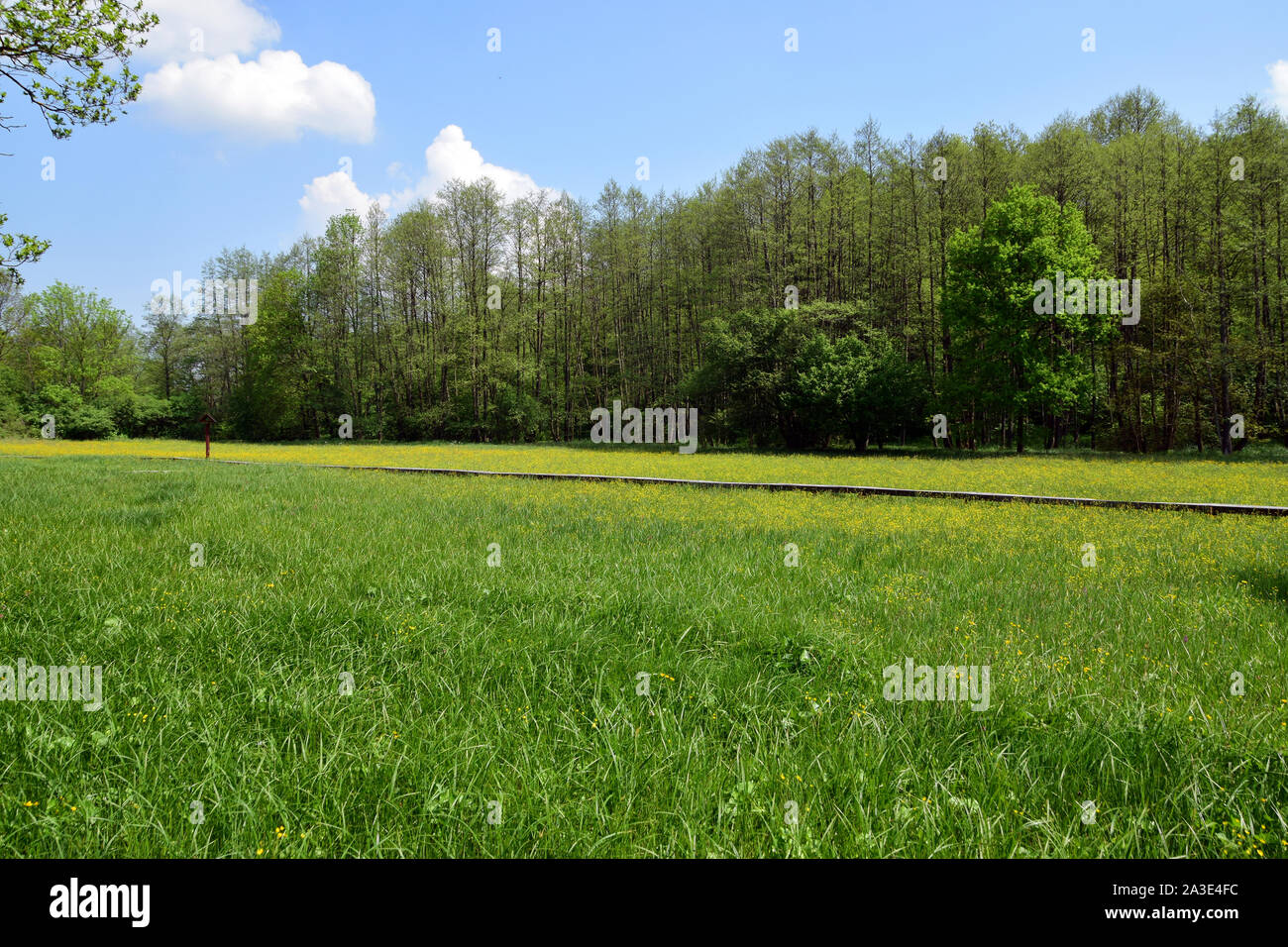 Peat moss of szoce hi-res stock photography and images - Alamy