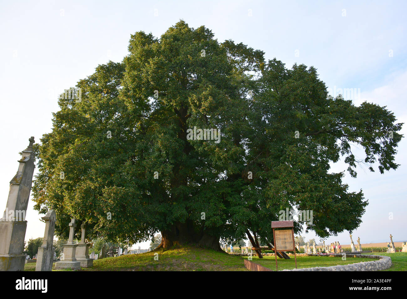 700 years old hi-res stock photography and images - Alamy