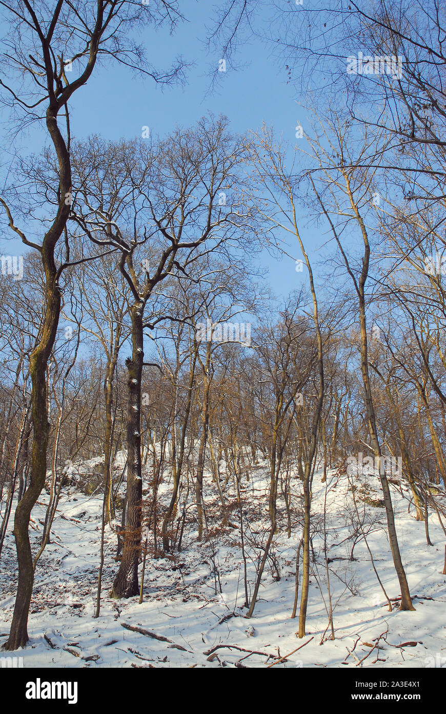 The transdanubian mountains hi-res stock photography and images - Alamy