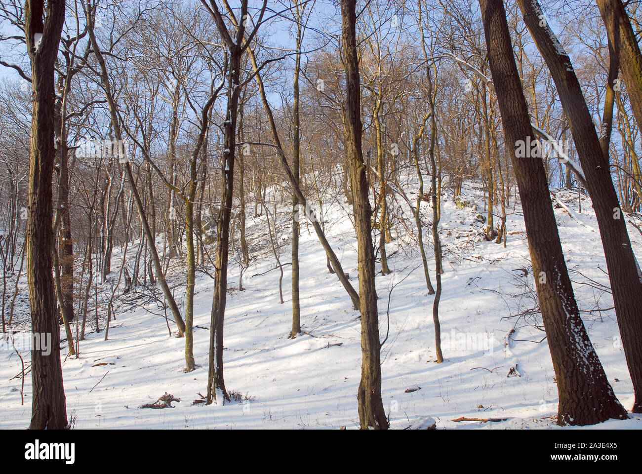 Vértes mountains, Central Transdanubian region, Vértes hegység, Hungary ...