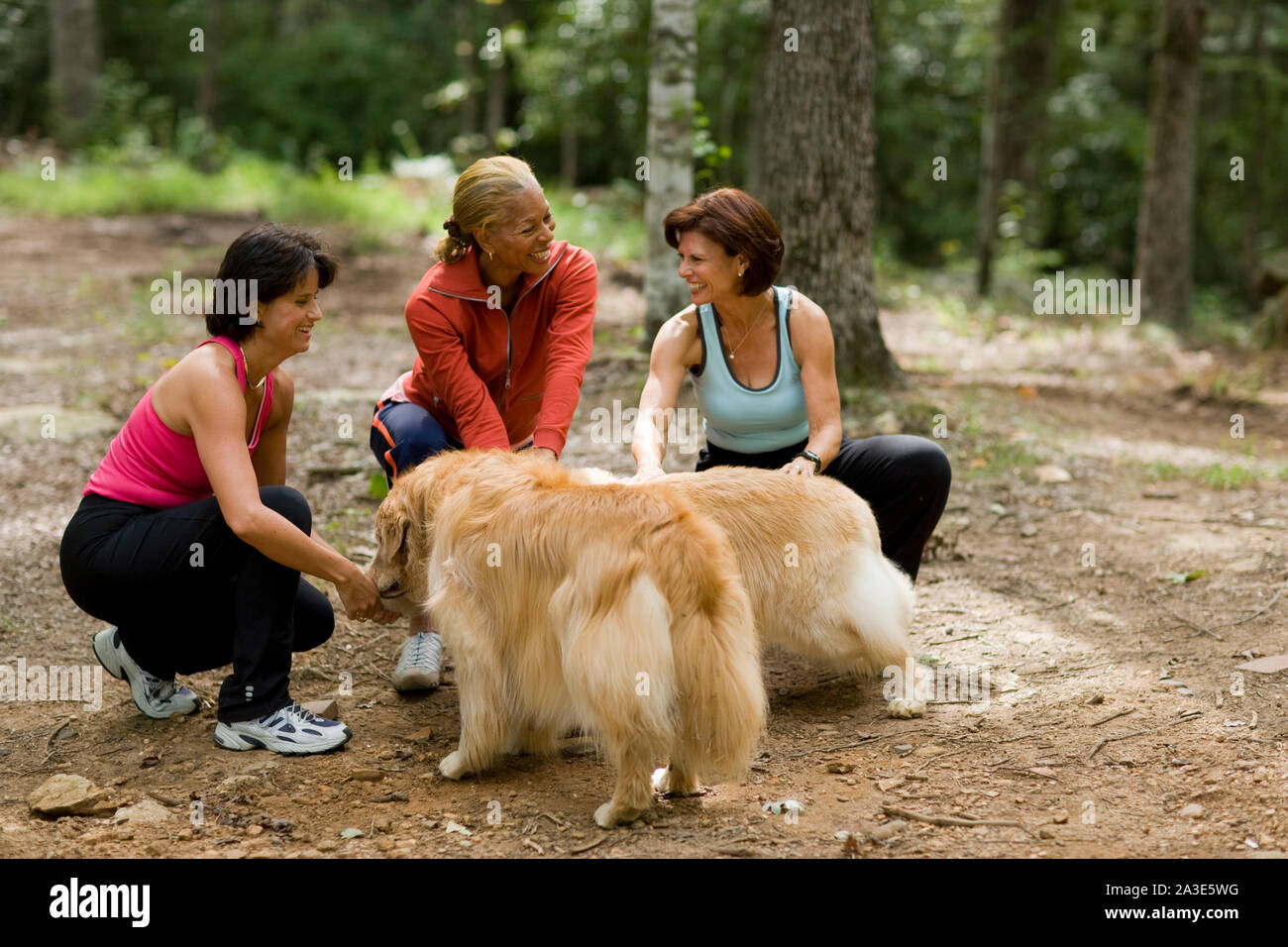 Middle aged women with dogs in forest Stock Photo - Alamy